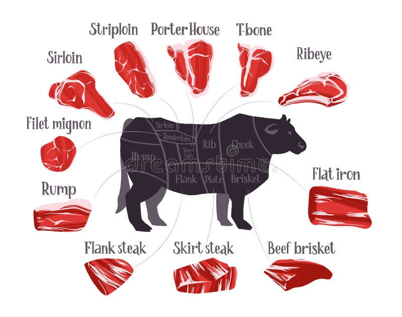 Old Beef chart stock illustration. Illustration of hloin - 24719732