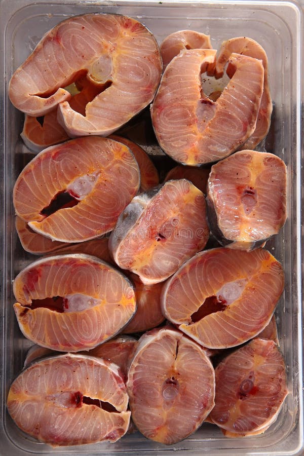 Beluga, Fish of the White Whales Stock Image - Image of species ...