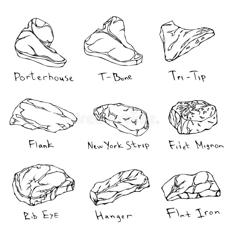 Steaks. Steak Types. Beef Cuts. Steak Guide. Top Popular Steaks. Vector ...