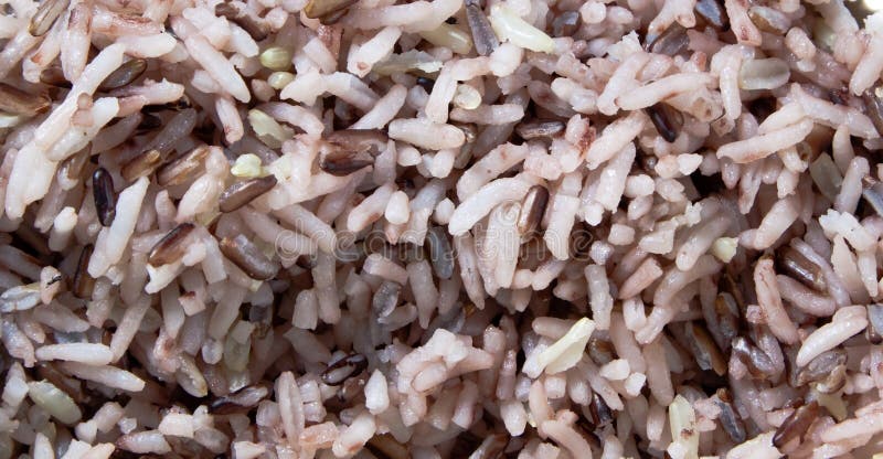 Steam brown rice stock photo. Image of asia, rice, nutrition - 19419206