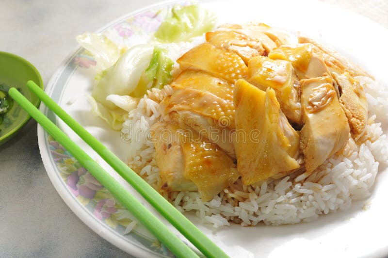 Steam chicken rice stock image. Image of vegetable, chicken - 64383051