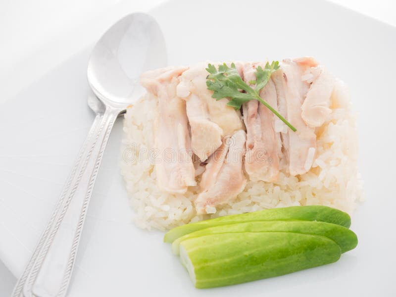 Steam Chicken with Rice stock photo. Image of soup, diet - 45499148