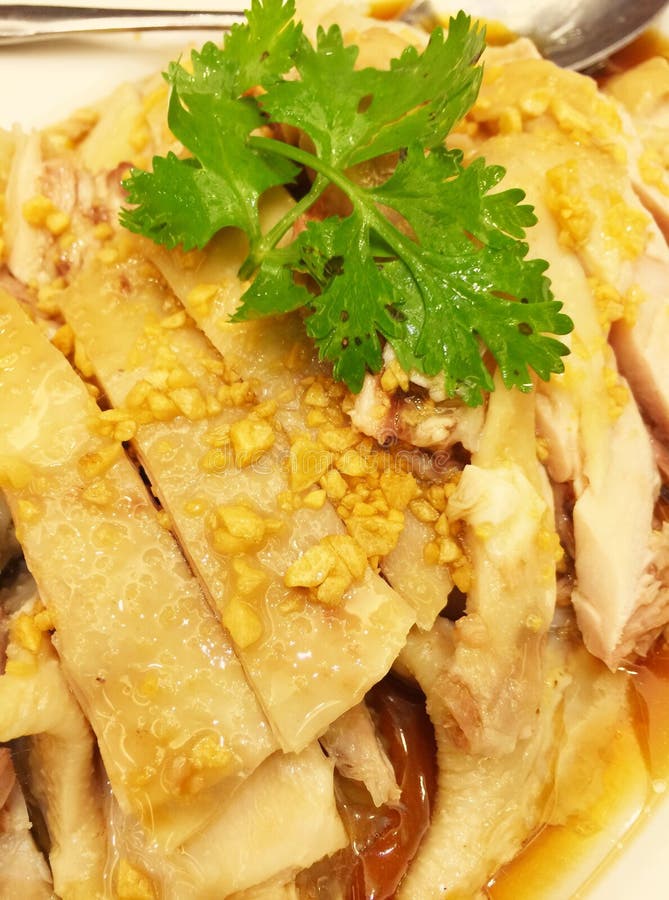 Steam chicken stock photo. Image of chicken, dinner, steam - 59618964