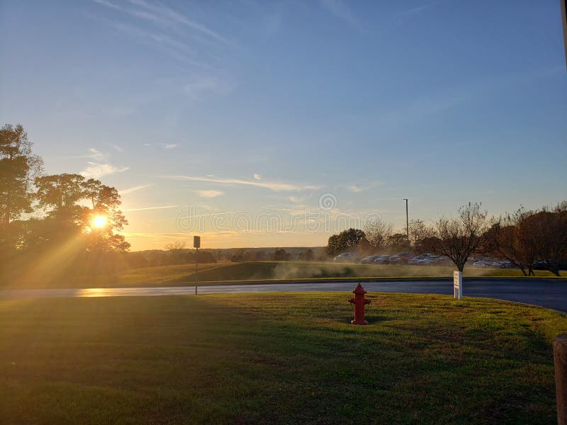 Steam Coming Up from Heat in Ground at the Plant Stock Photo - Image of ...