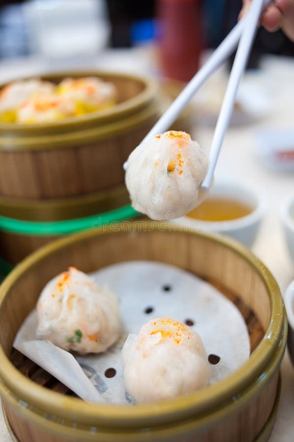Steam dim sums stock photo. Image of dishes, chinese - 13882440