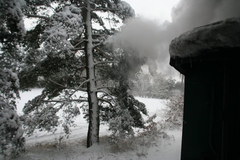 Steam Engine Wagon In Snow Picture. Image: 496695