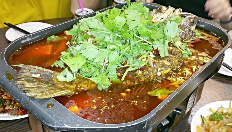 Steam fish stock photo. Image of delicious, nature, steam - 17963442