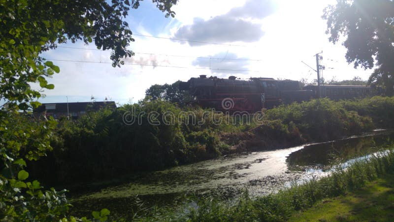 Steam Grass carp fish stock image. Image of style, sauce - 165789925