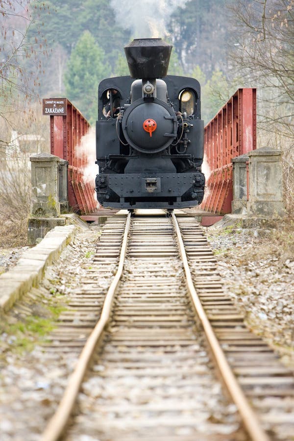 Steam locomotive stock photo. Image of hampshire, locations - 14035622