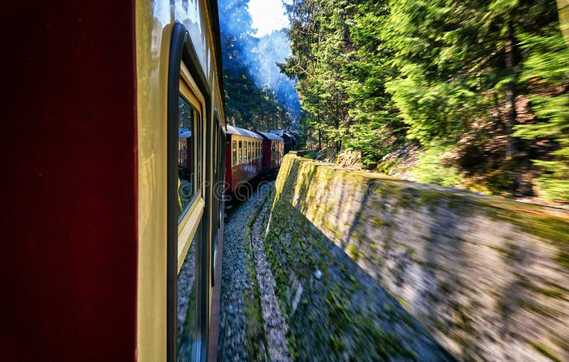 Steam Locomotive Drives through a Curve in the Forest. Dynamics through ...