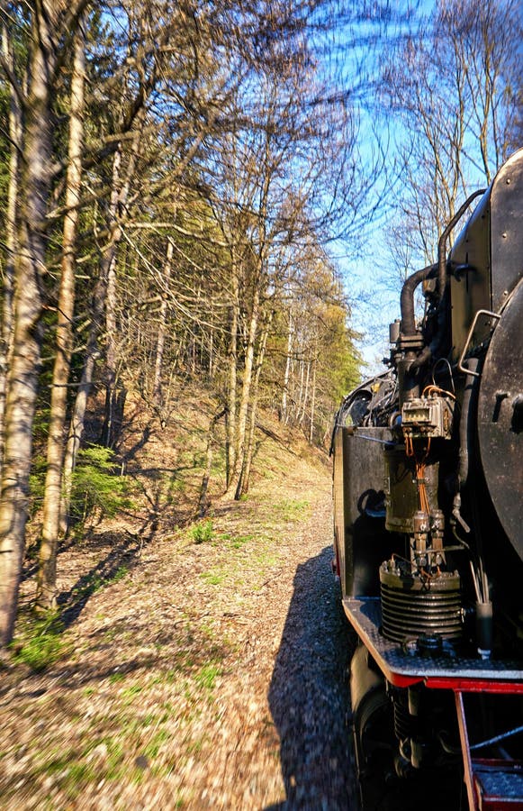 Steam Locomotive Ride Past the Trees in the Forest. Dynamics through ...