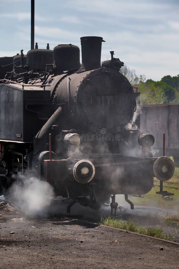 Steam Locomotive stock image. Image of leisure, bygone - 63121731