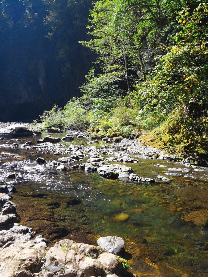 Steam stock image. Image of nature, water, peace, beauty - 50880813