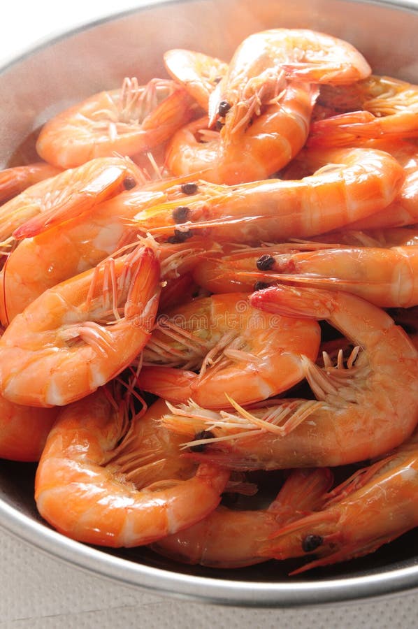 Steam prawn stock image. Image of food, dish, dinner - 51356855