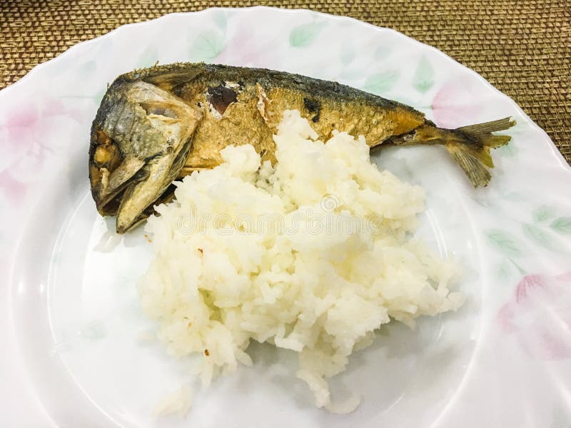 Steam Rice with a Fried Mackerel Fish in a Plate. Stock Photo - Image ...