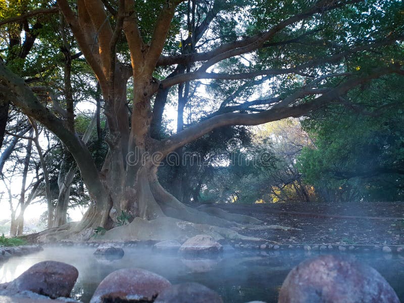 Steam Rising from Hot Water Spring Stock Image - Image of steam, autumn ...