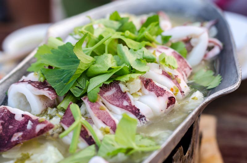 Steam squid with spicy stock photo. Image of jellyfish - 51325862