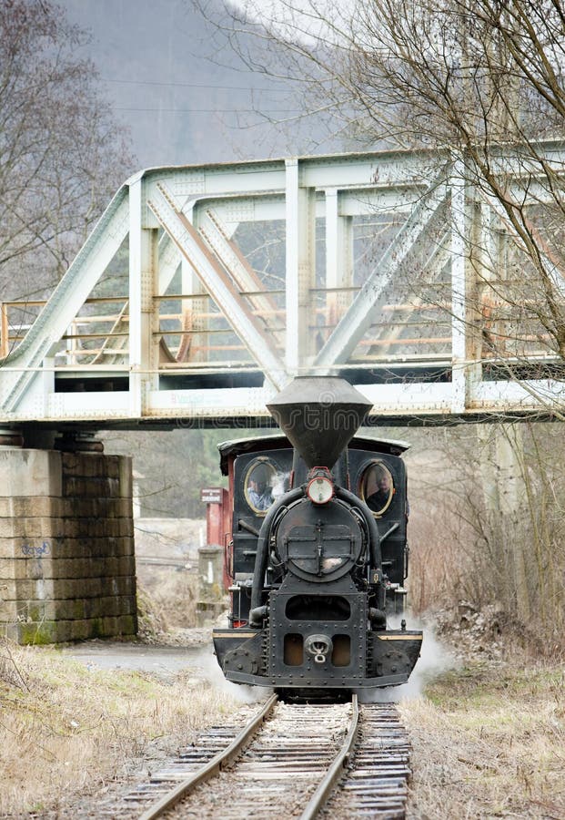 Steam Train, Ciernohronska Railway, Slovakia Editorial Photography ...