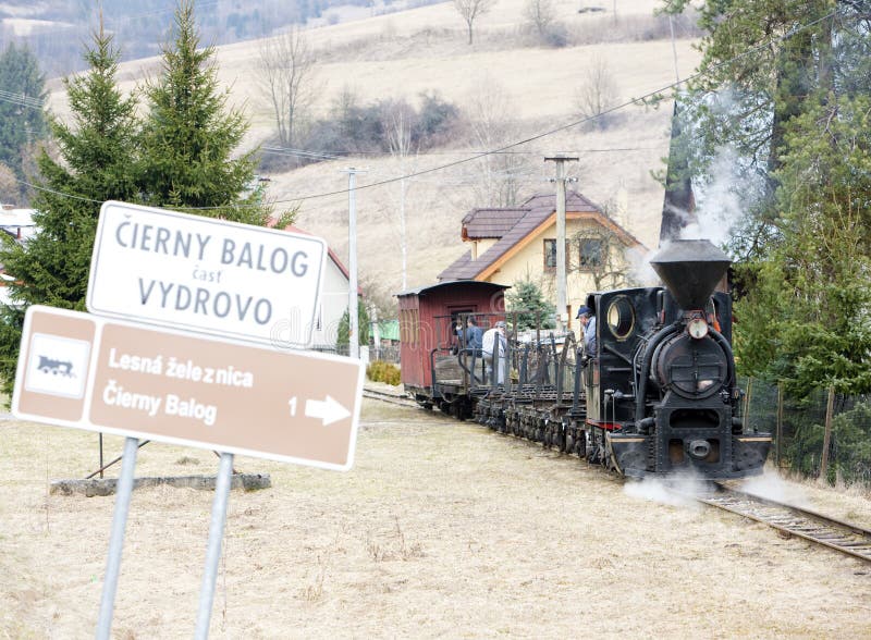 Steam Train, Ciernohronska Railway, Slovakia Editorial Image - Image of ...