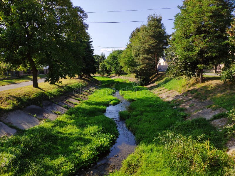 Steam stock image. Image of trees, nature, river, steam - 163881643