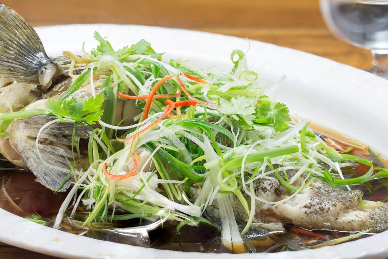 Garoupa Fish stock image. Image of cook, cuisine, fish - 11898143