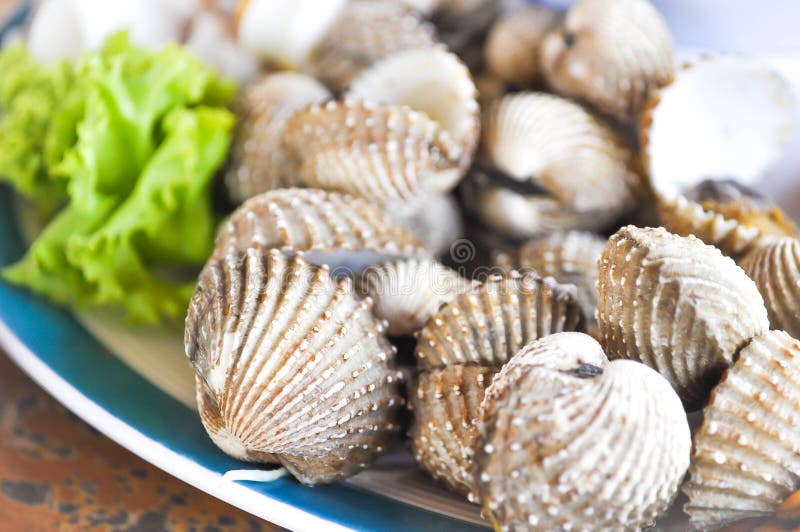 Steamed ark shell dish stock photo. Image of vegetable - 70473762