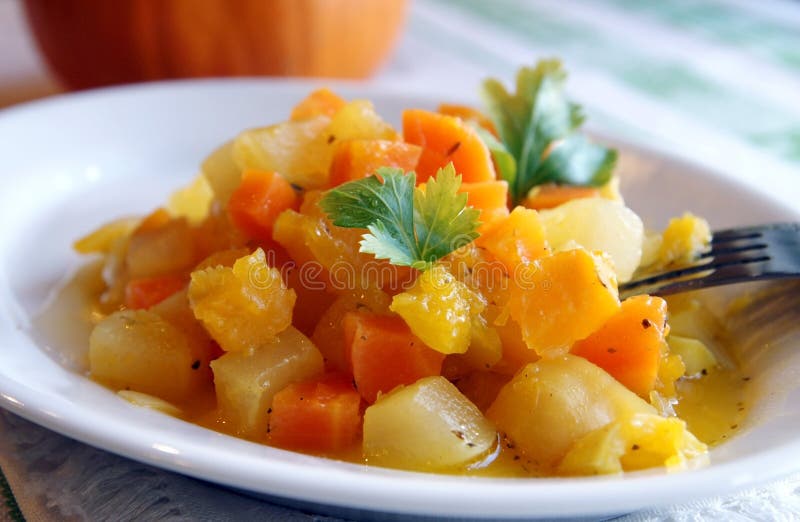 Steamed Autumn Vegetable Ragout Stock Photo - Image of food, fall: 11138848