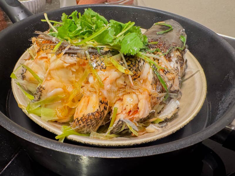 Steamed Blue Cod Fish with Spiting Onions in a Metal Pot Stock Image ...