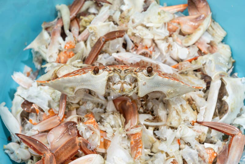 Steamed Blue Crab Shell Scraps Stock Photo - Image of organic, diet ...