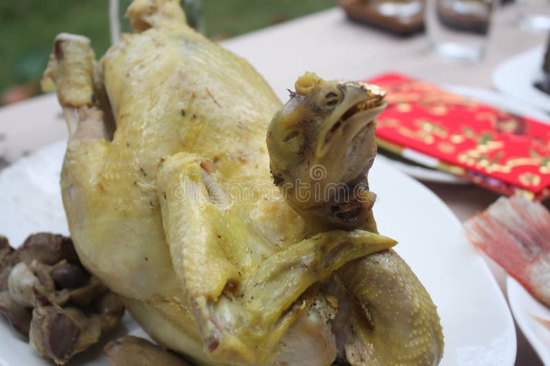 Steamed-boiled Chicken on the White Ceramic Plate. Stock Image - Image ...