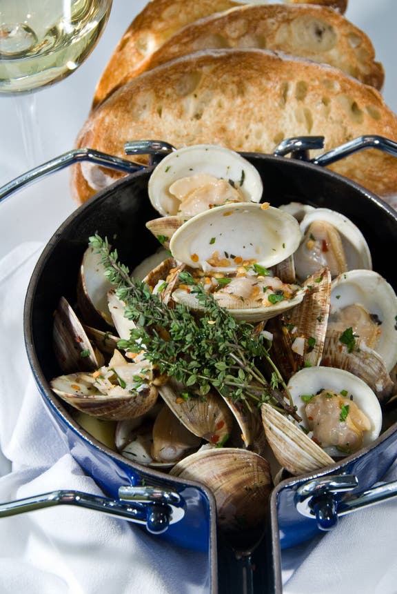 Steamed clams stock photo. Image of wine, glass, vertical - 16552716