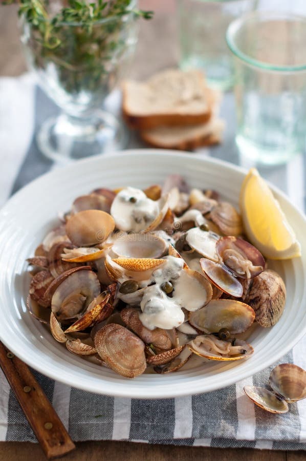 Steamed Shellfish stock photo. Image of white, dinner - 62235566