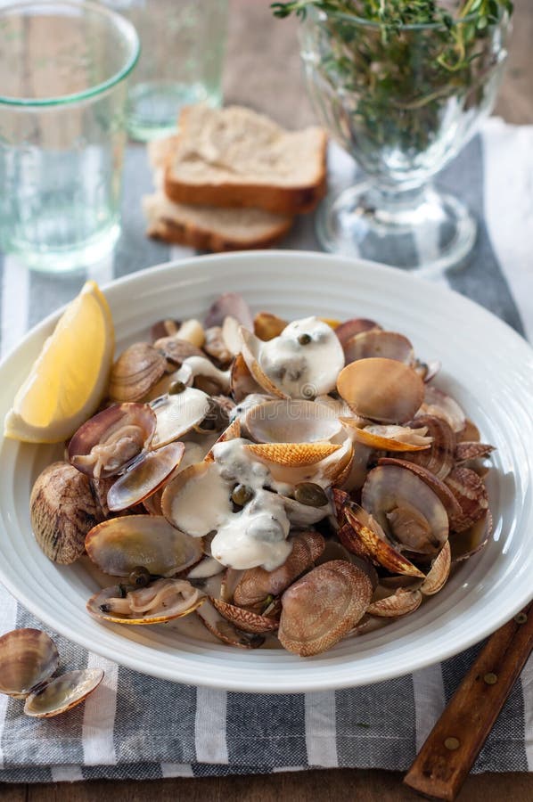 Steamed Shellfish stock photo. Image of white, dinner - 62235566