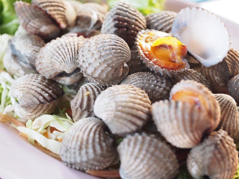 Steamed cockles stock image. Image of anadara, cockle - 28659645