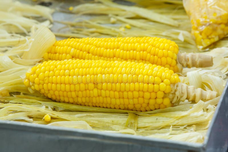 Steamed corn stock image. Image of steamed, thailand - 37712771