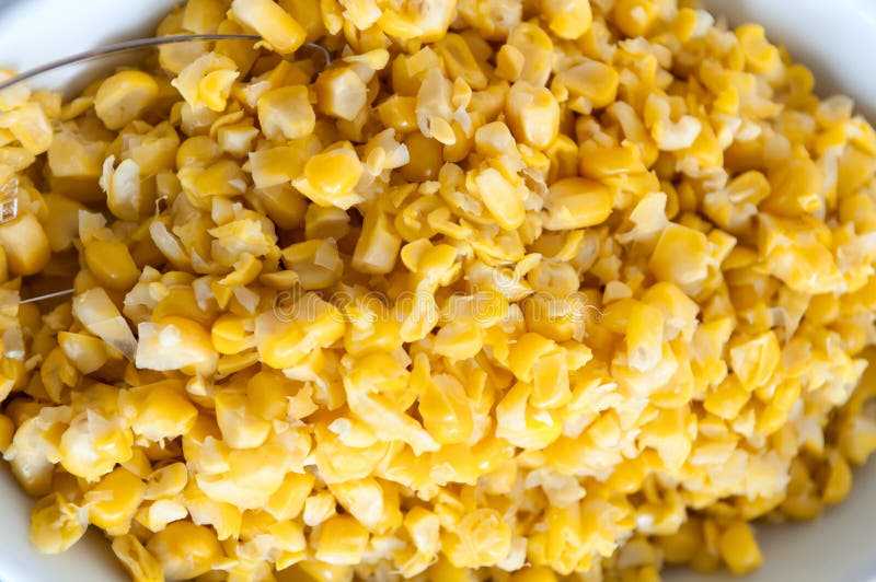 Steamed Corn stock photo. Image of corn, delicious, golden - 34160092