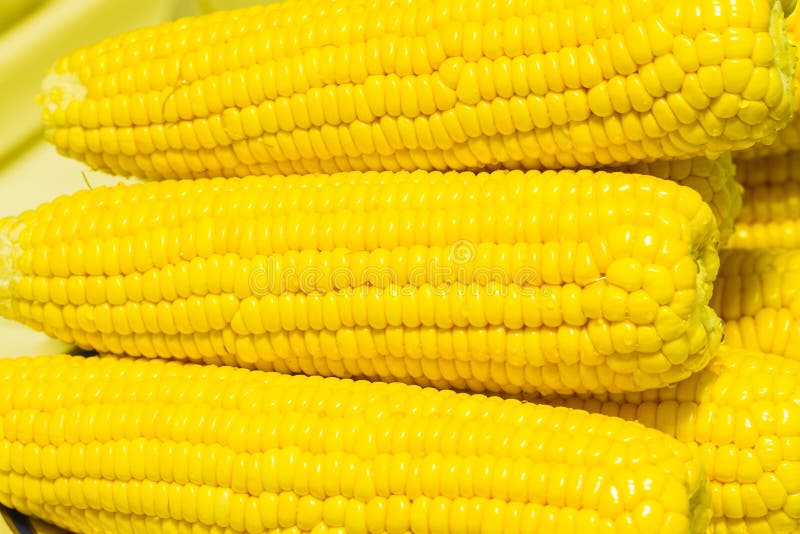 Steamed corn stock photo. Image of ingredient, organic - 30746990