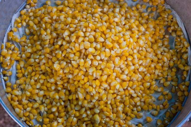 Steamed Corn Sold in the Bazaar Stock Image - Image of healthy, store ...