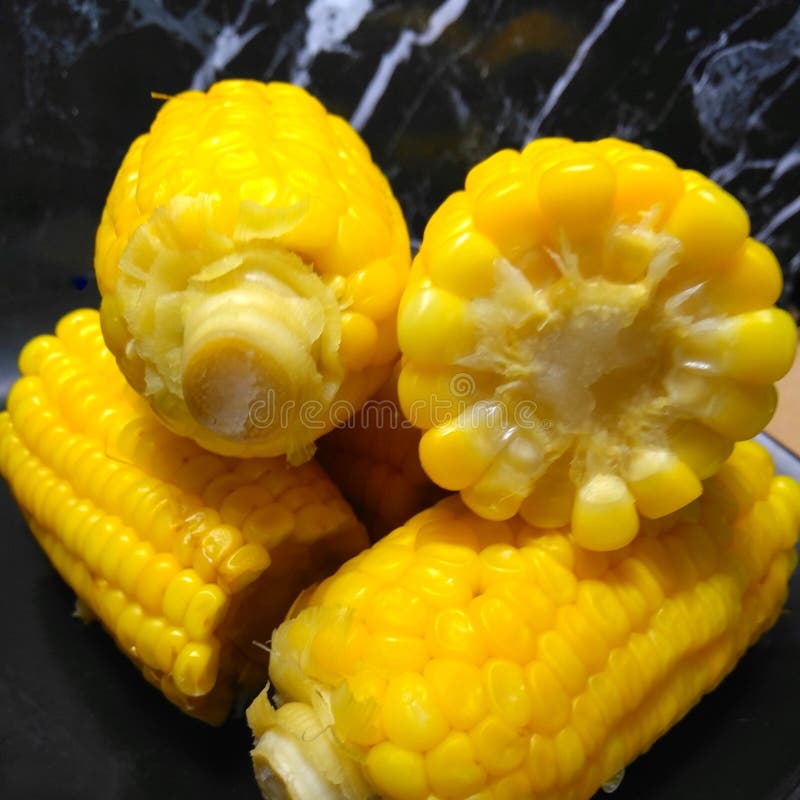 Steamed corn on the table stock image. Image of food - 272921463