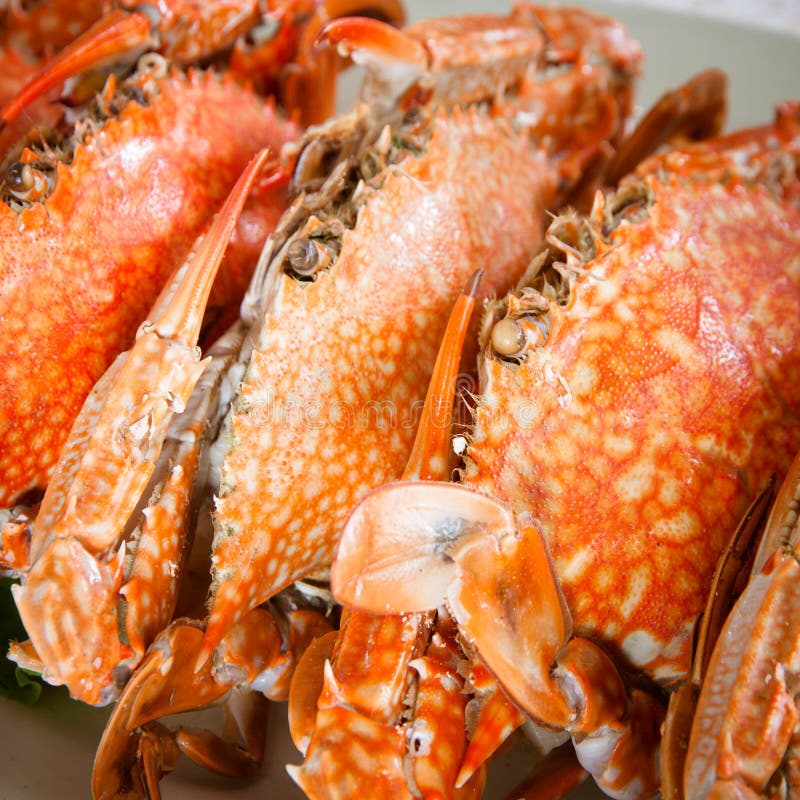 Steamed crab stock image. Image of cooking, fresh, claw - 34474555