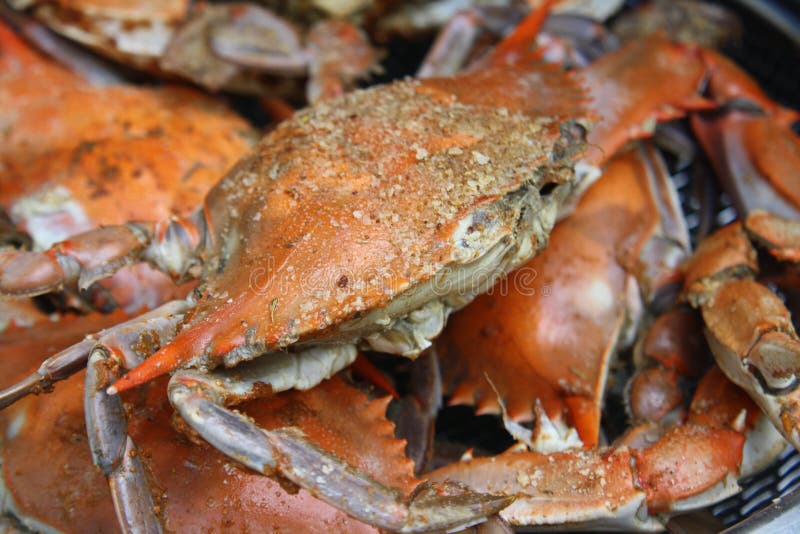 Blue crabs in pot 2 stock photo. Image of shellfish, crustacean - 2370818