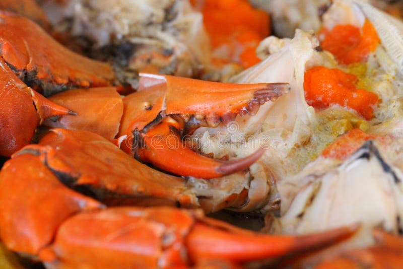 Steamed Crabs with Roe stock photo. Image of cook, fishing - 57431720