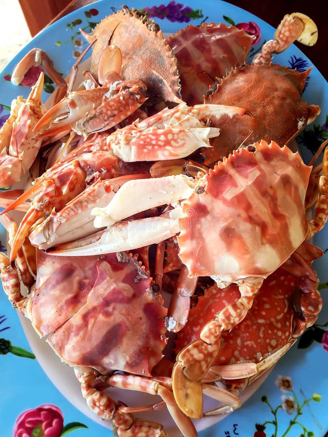 Steamed crabs stock photo. Image of seafood, eatery, restaurant - 18394438