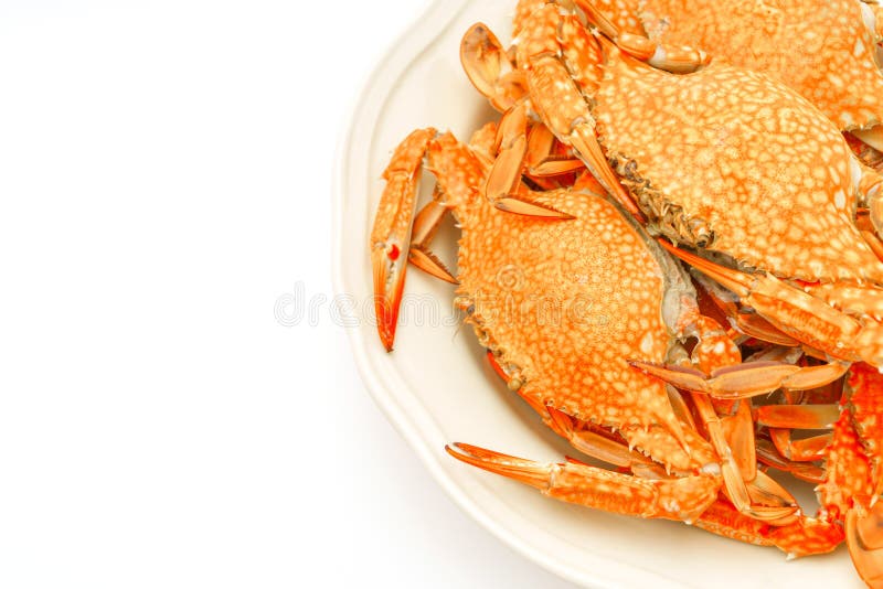 Steamed Crabs on White Background . Stock Image - Image of nutrition ...
