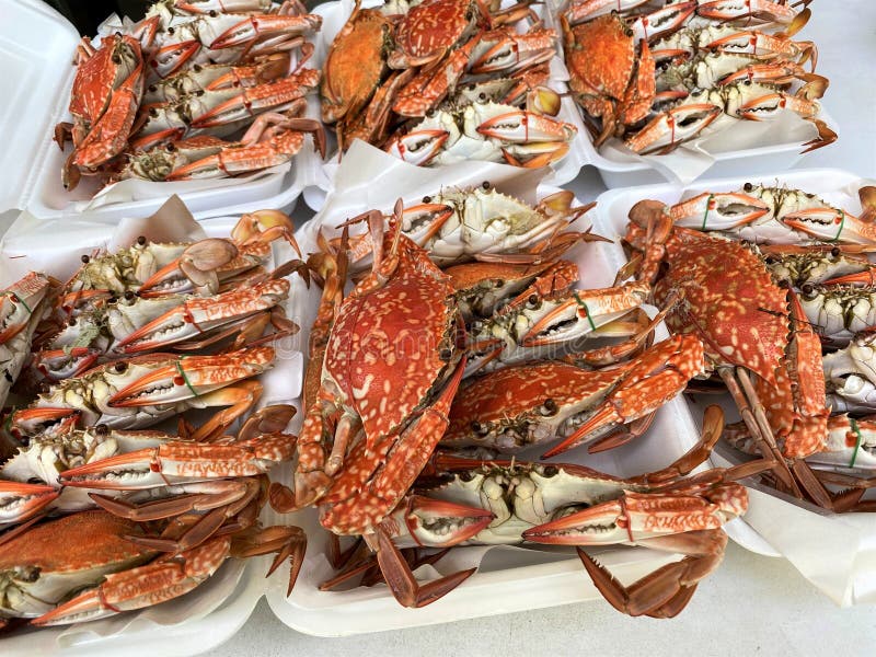 Steamed claws on Foam box stock image. Image of eatery - 207733949