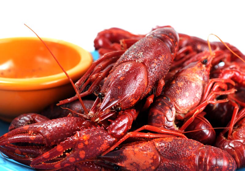Crayfish. Creole Style Crawfish with Corn and Potato Stock Photo ...