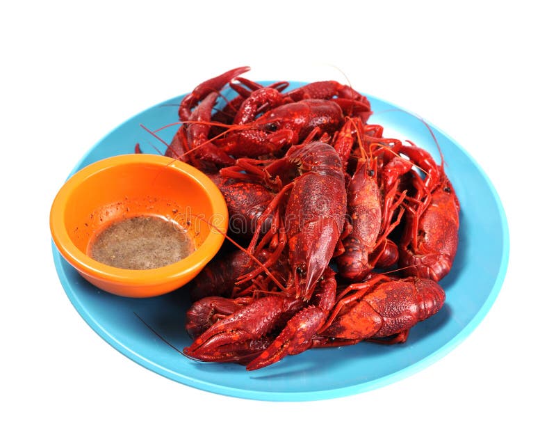 Steamed crawfish stock image. Image of isolated, dinner - 41281569