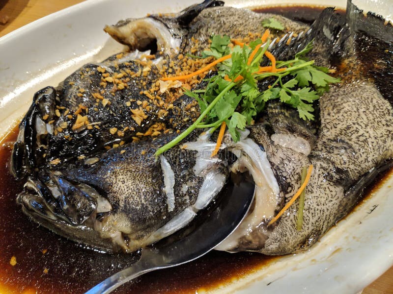 Steamed Dragon Tiger Grouper Stock Photo - Image of chinese, tiger ...