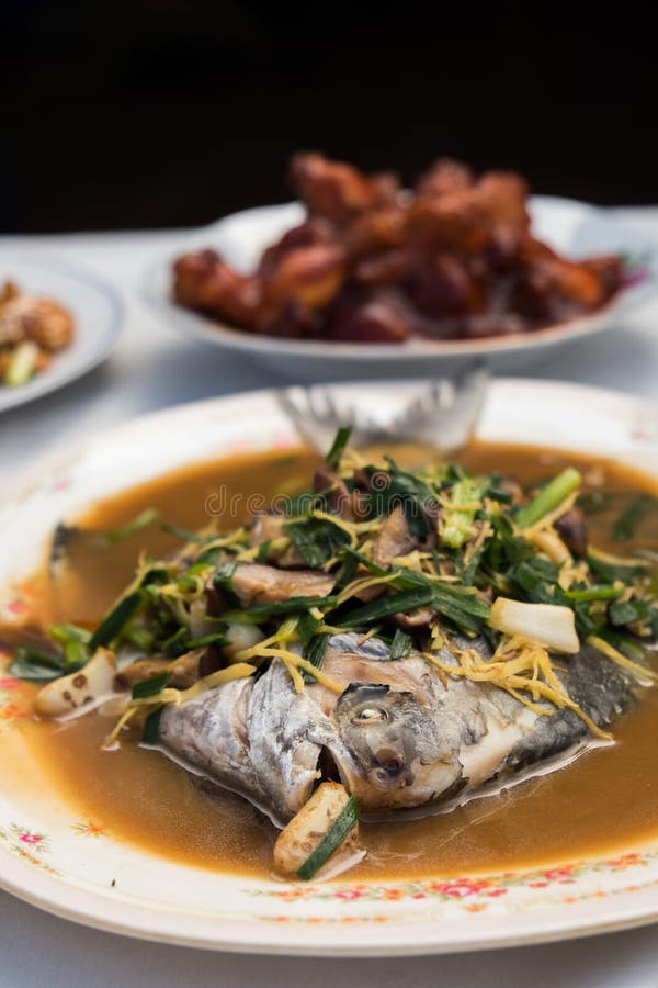 Steamed fish chinese style stock photo. Image of onion - 51907336