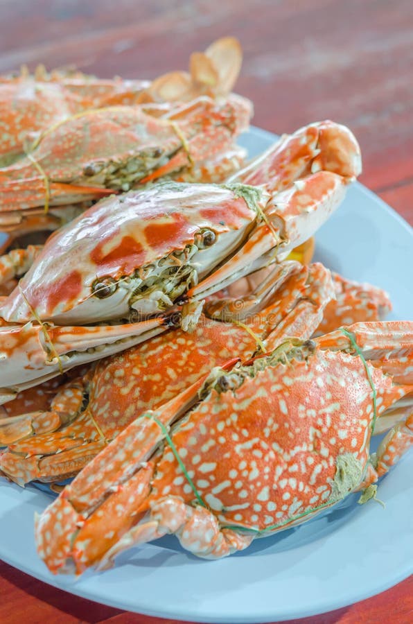 Steamed flower crab stock image. Image of shellfish, shell - 65613147